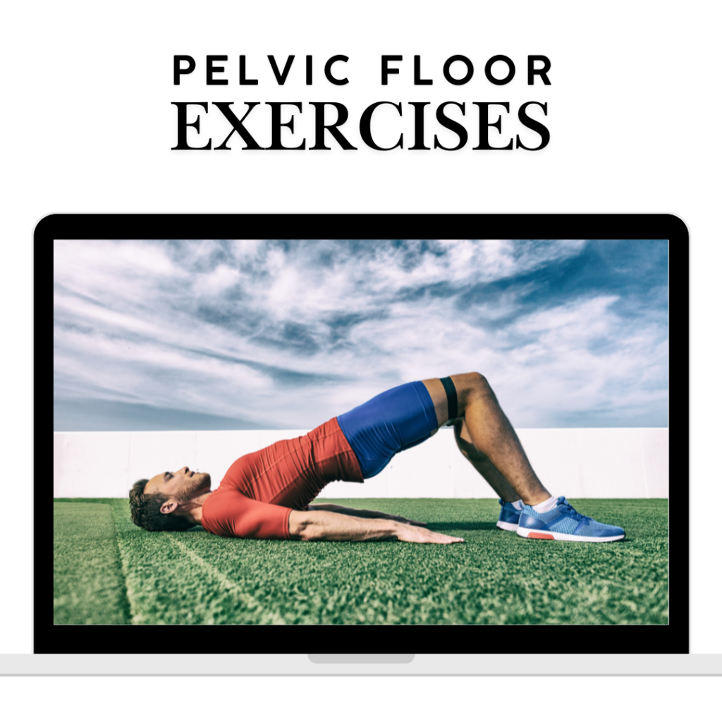 Understanding the Male Pelvic Floor: Anatomy, Functions, and Potential ...