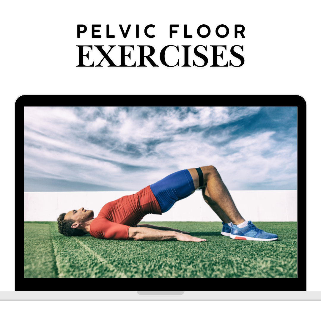 Understanding the Male Pelvic Floor: Anatomy, Functions, and Potential ...